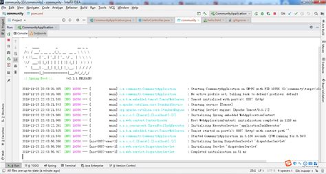 Whitelabel Error Page，很急java Csdn问答