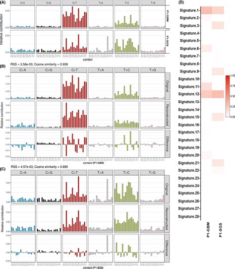 Mutation Signatures In Tumor Tissues A Mutation Prevalence And