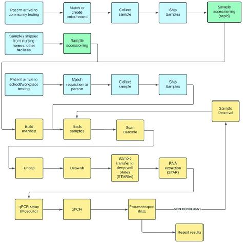 Sample Collection And Testing Process Steps Performed At Sample
