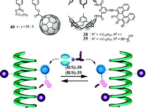 Schematic Representation Of The Preparation From Host Guest Download Scientific Diagram