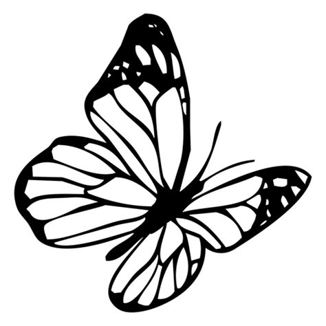 Black And White Butterfly Art