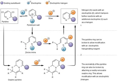 Adding Functions To Pyridines Science