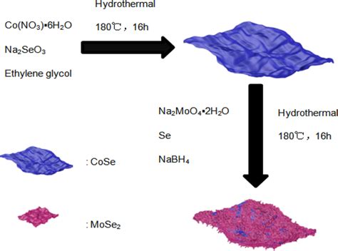 Diagram Of The Synthesis Of Cose Mose2 Download Scientific Diagram