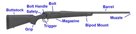 How To Shoot A Rifle Pew Pew Tactical