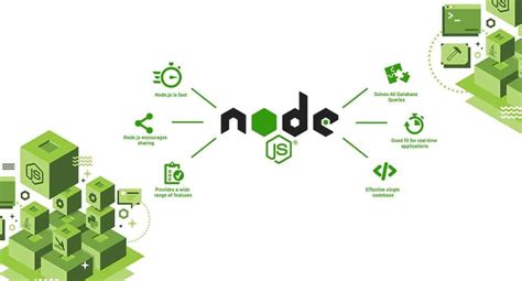 Custom Node Js Development Services Company Platina ITMagento