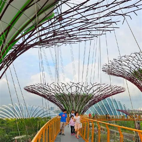 싱가포르 가든스 바이 더 베이 아트사이언스 뮤지엄 투어비스 투어and티켓
