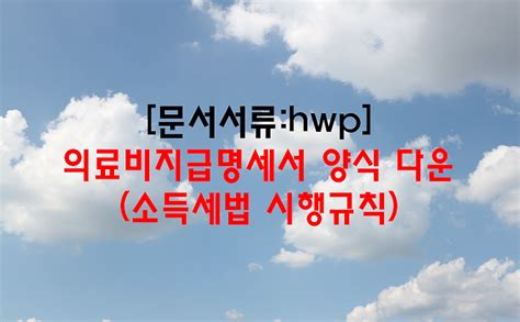 [문서서류 Hwp] 의료비지급명세서 양식 다운 소득세법 시행규칙