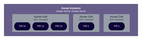 workload isolation with aurae cells aurae runtime