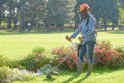 A Man Is Trimming The Grass Photo Background And Picture For Free Download Pngtree