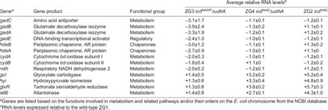 Relative Mrna Levels Generated By Dna Microarray Comparison Download