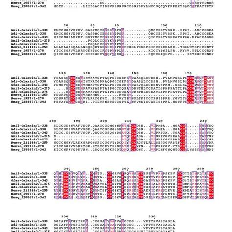 figure s8 multiple sequence alignment showing the sequence download scientific diagram