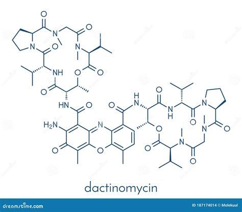 Dactinomycin Actinomycin D Cancer Chemotherapy Drug Molecule Skeletal Formula Stock Vector
