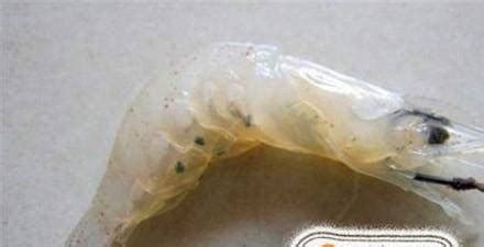 秋季钓鱼用什么饵料好秋季钓鱼怎么配饵料 业百科