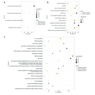 Functional Enrichment Results For Differential Gene Expression