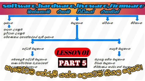 Software Hardware Liveware Firmware Computer Systems Ict