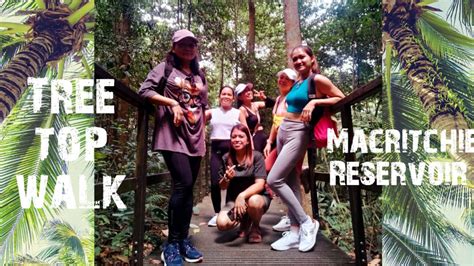 Hiking Adventure At Tree Top Walk Macritchie Reservoir Singapore Youtube