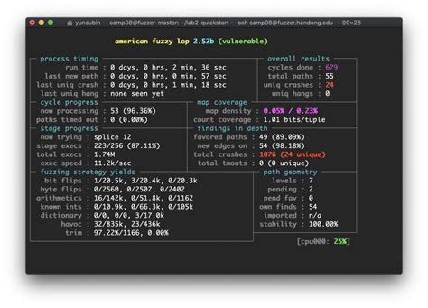 Fuzzing Lab2 Vulnerable