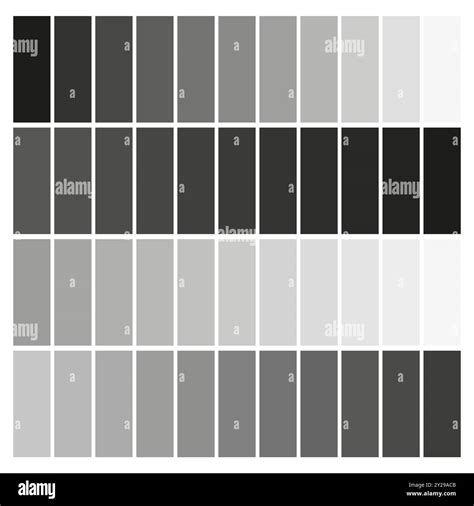 Grayscale Palette Gradient Color Tones Dark To Light Shades Neutral Color Scheme Stock Vector Grayscale Palette Gradient Color Tones Dark To Light Shades Neutral Color Scheme Stock Vector