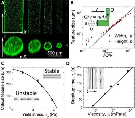 Control Of Printed Features A The Width And Height Of Printed Lines Download Scientific