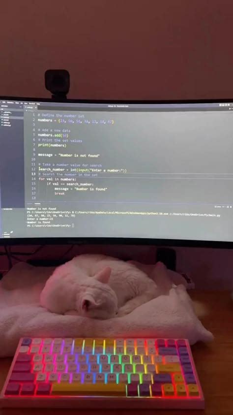 Pin By ༉b I A࿐ On Pins Criados Por Você Programmer Humor Coding Tutorials Learn Computer Coding