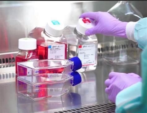 新建一个生命科学实验室需要哪些实验室仪器？ 知乎