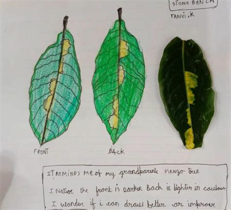 Meet An Educator Mihir Pathak Early Bird