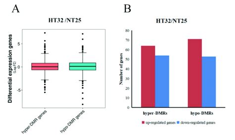 Correlation Between Differential Methylation And Level Of Transcript