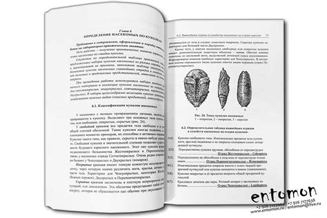 Практикум по энтомологии - Гриценко В.В., Захваткин Ю.А. и др.