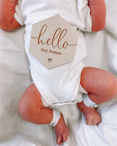 Babes In Arms New Moth New Babies 🥰 Who Is Due This