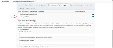 How To Use Multi Branch Pipeline In Jenkins Computingforgeeks