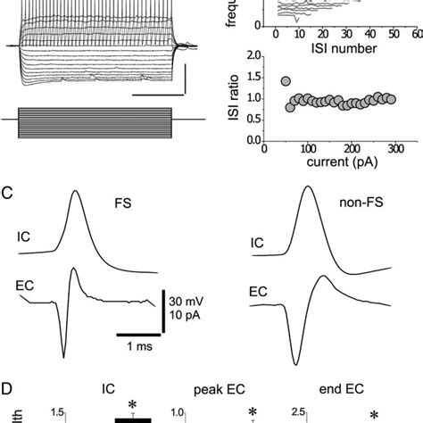 Experimental Procedures A Lateral View Of The Macaque Monkey Cortex Download Scientific
