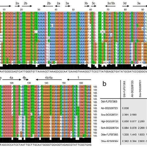 A Multiple Sequence Alignment Of The D3 Lsu 28s Rdna Sequences The Download Scientific