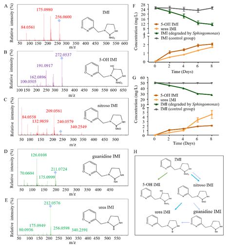 中国农业大学植物保护学院 新闻动态 梁沛教授团队在棉蚜对吡虫啉的抗性研究方面取得进展