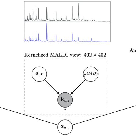 Probabilistic Graphical Model For The Evaluated Data Set View D