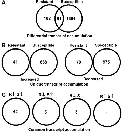 Venn Diagrams Showing The Number Of Gene Transcripts In The Tn02 226 Download Scientific