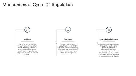 Cyclin D1 Cell Cycle Regulation Cancer Biomarker Ppt Template St Ai Ppt Slide