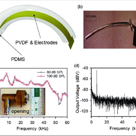 A Molecular Structure Of B Phase Pvdf And A Schematic Depiction Of Download Scientific