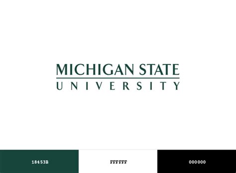 What Font Is Michigan State Logo