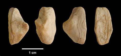 90 Questions With Answers In SEM EDS Scientific Method