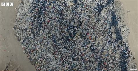 패션업계의 달콤한 거짓말 ‘그린워싱