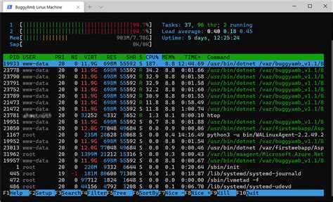 10 Best Network Monitoring Tools For Linux In 2025