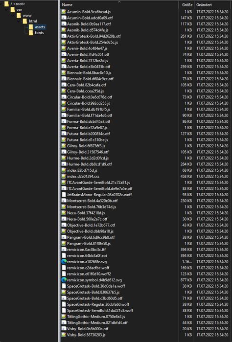 build 404 when importing fonts from public with import meta glob · issue 9169 · vitejs vite