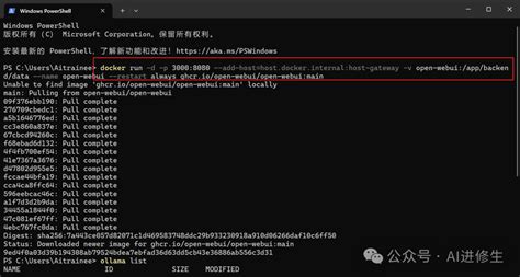 使用 Ollama 和 Open Webui 自托管 Llm 聊天机器人（无需 Gpu）open Webui 微信 Csdn博客