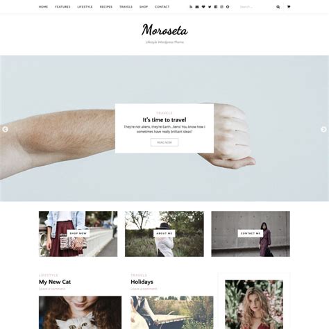 Pankogut Free And Premium Wordpress Themes Easy To Install Light And