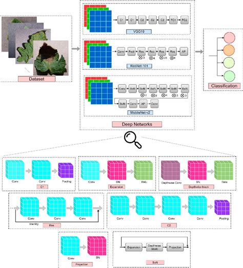 Figure 2 From Tomato Leaf Disease Detection Using Transfer Learning A