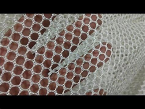 舒婷 Posted On Linkedin