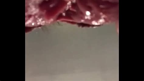 Full Frontal Hairy Pussy Search Xvideos Com