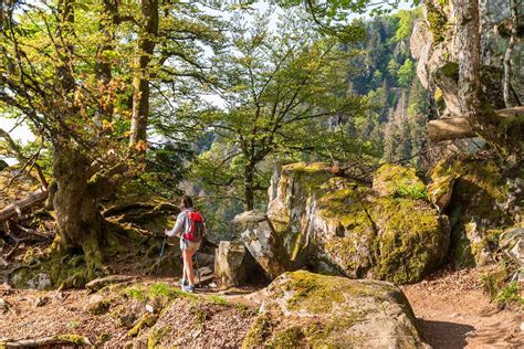 Vosges Nos Plus Belles Idées De Randonnées à La Journée Instant Nomade