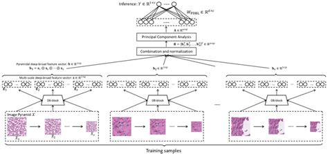Overview Of The Proposed Pyramidal Deep Broad Learning Pdbl In Pdbl