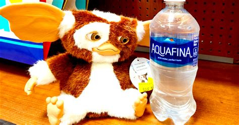 Weekend Afternoon Randomness Best Hot Girls And Wtf Funny Photos Chive